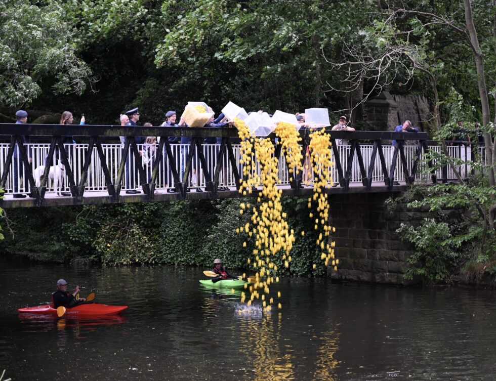 Friends Of Congleton Park (FoCP) Cheshire